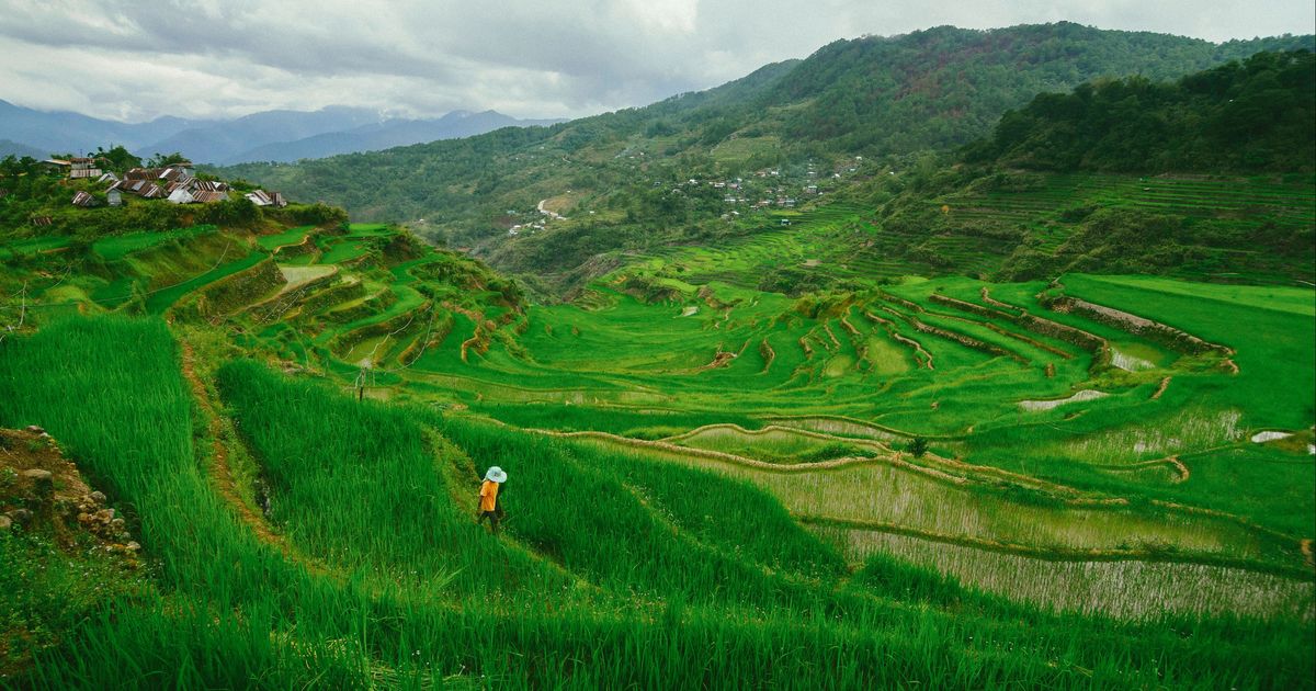 15 Best Hotels in Bontoc - KAYAK