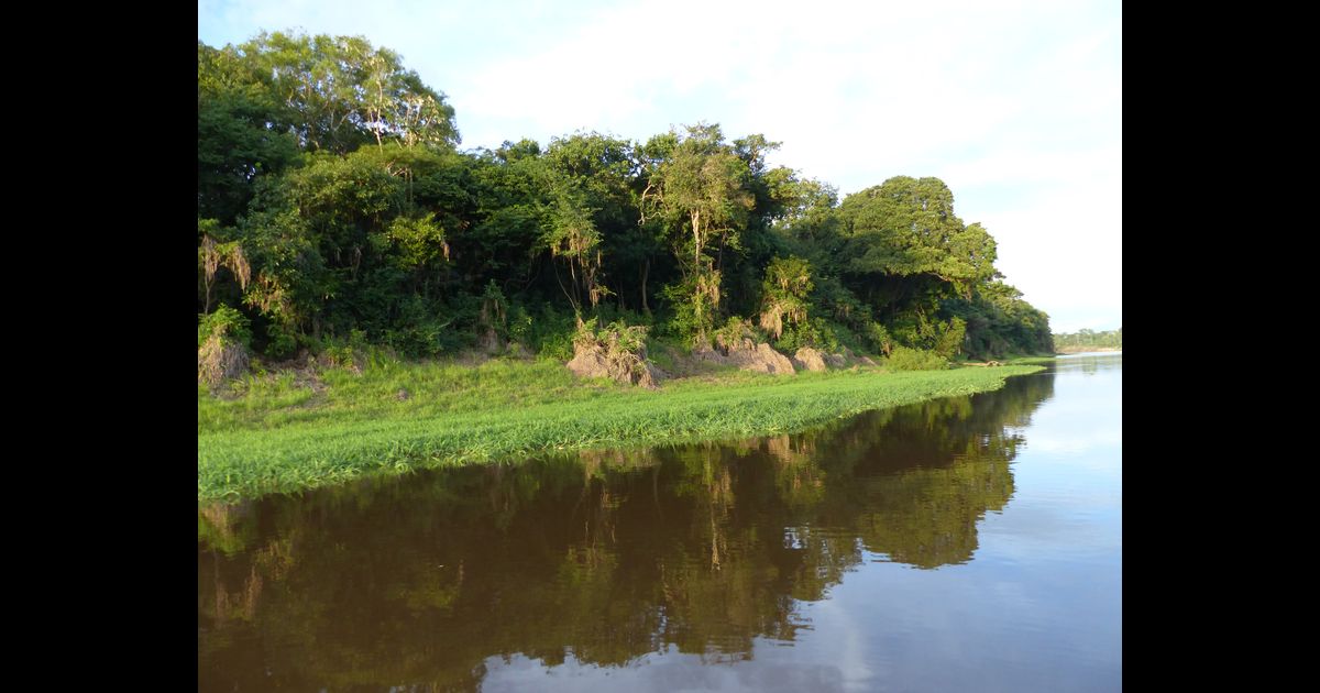 Amazonas Hoteles: Compara hoteles en Amazonas desde $15/noche con KAYAK