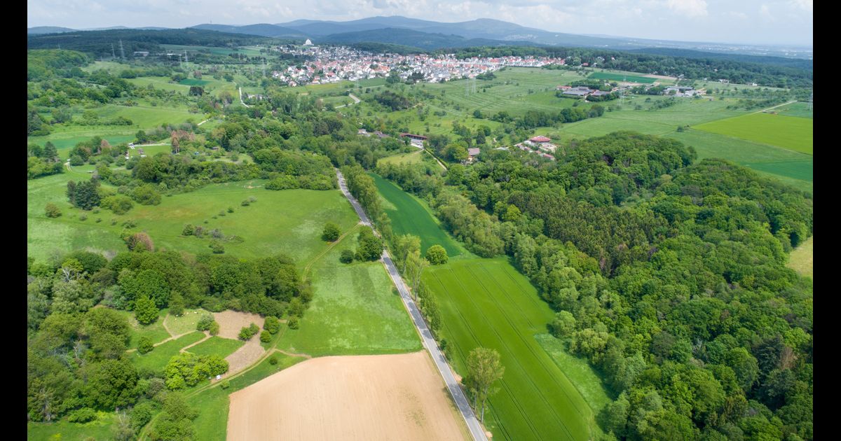Hofheim City Guide - Erlebe Hofheim | momondo