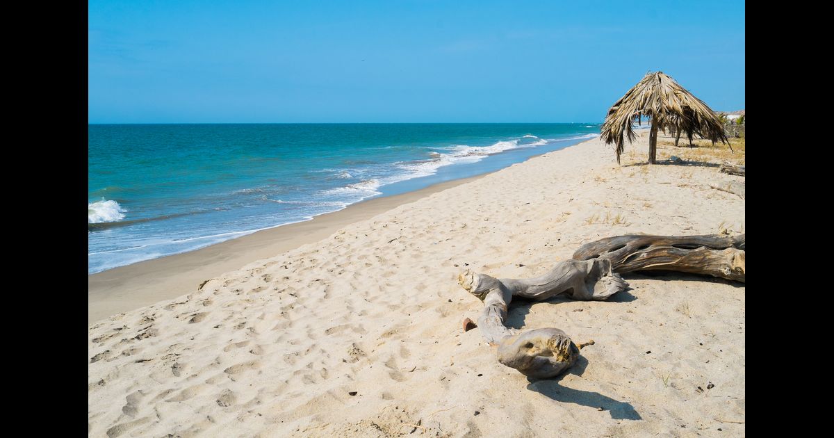 Vuelos baratos a Tumbes (TBP) desde S/ 134 - KAYAK