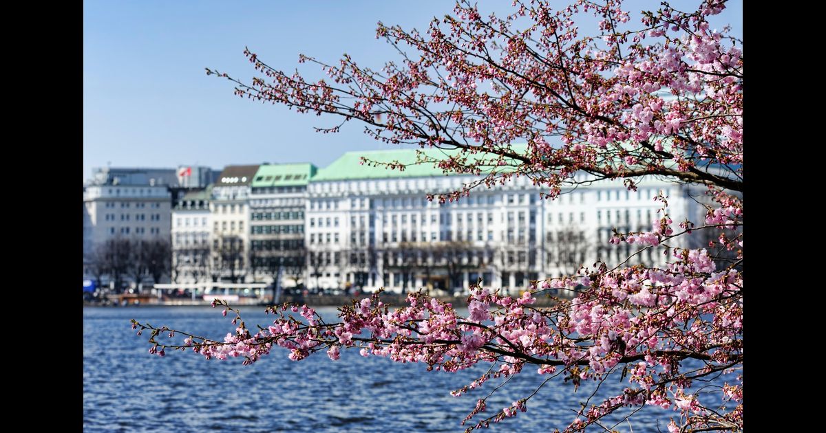 Buche günstige Hotels in Nordseeküste ab CHF 21 | SWOODOO