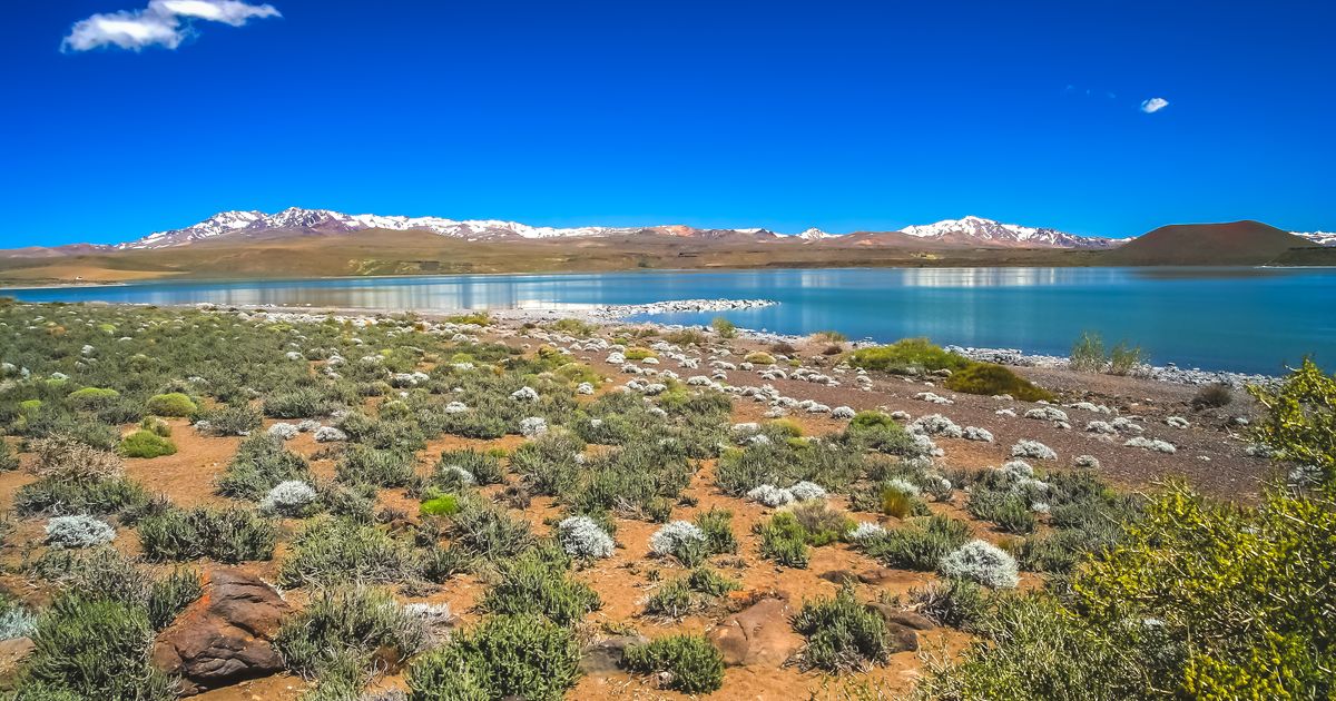 13 Best Hotels in Zapala - KAYAK