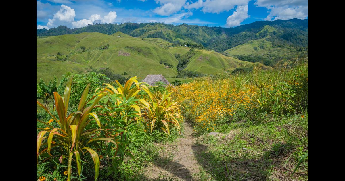 Goroka (GKA) - Flight Status, Maps & more - KAYAK