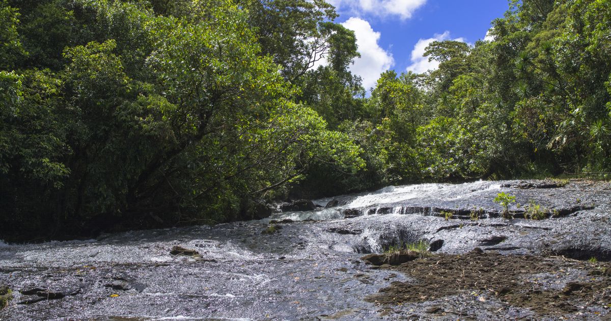 16 Best Hotels in Airai. Hotels from $96/night - KAYAK