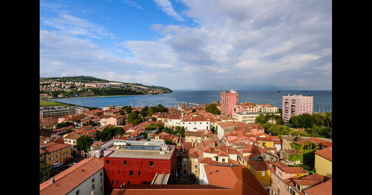 Koper Hotels: 349 Cheap Koper Hotel Deals, Slovenia