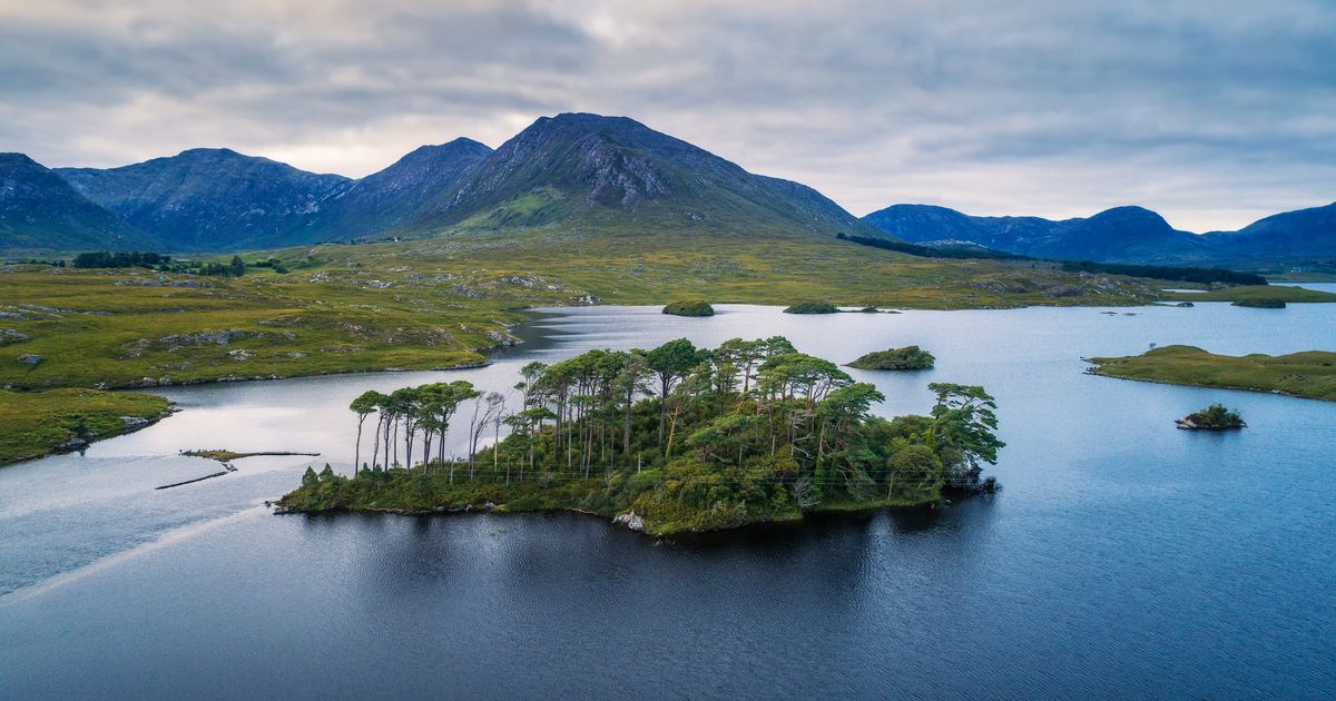 16 Best Hotels in Letterfrack - KAYAK