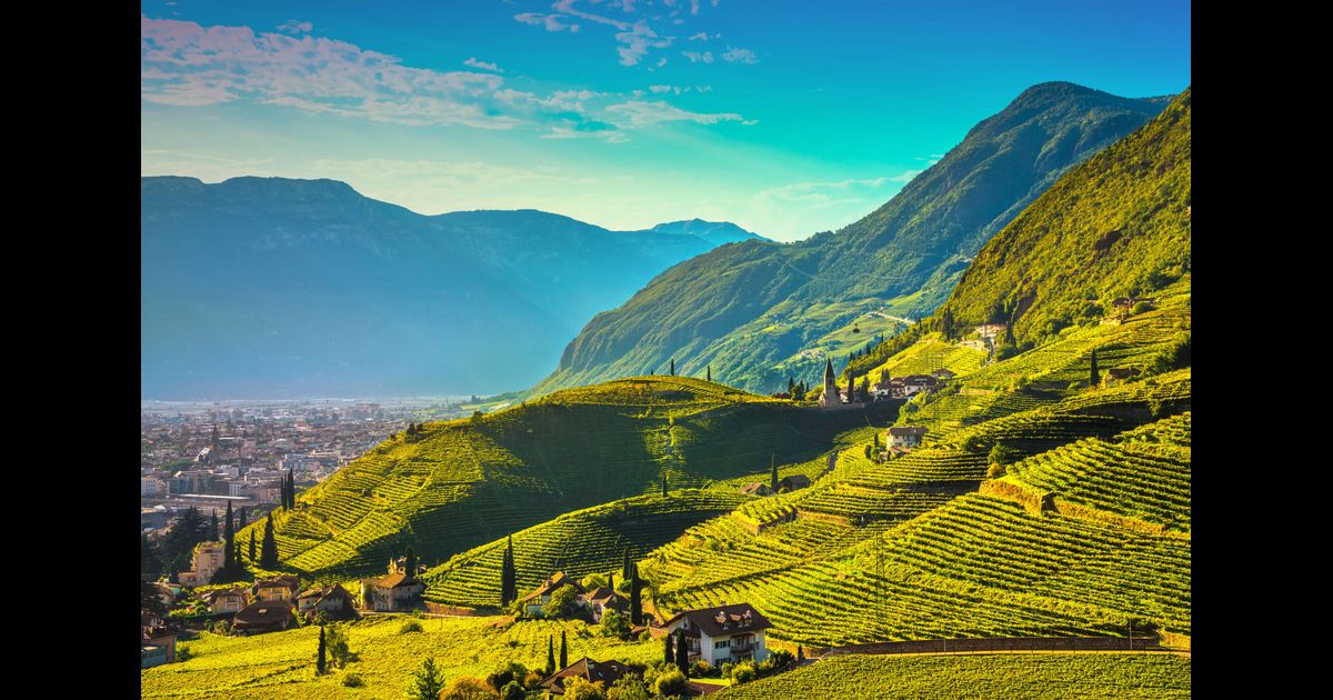 Bozen City Guide - Erlebe Bozen | momondo