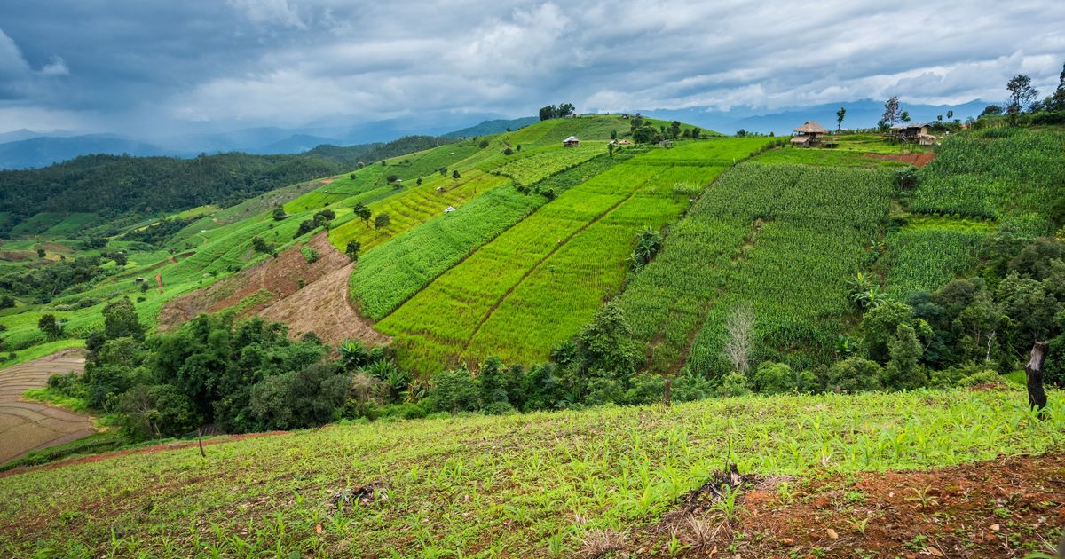 Hotéis em Mae Chaem - Pesquise no KAYAK