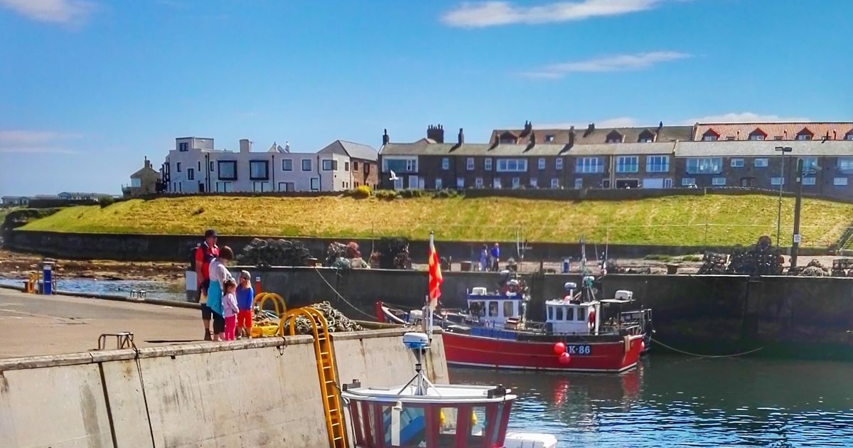 16 Best Hotels in Alnwick. Hotels from $84/night - KAYAK