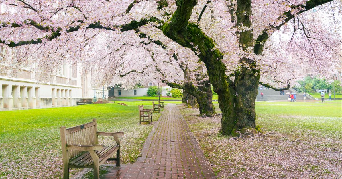 Cheap Car Rentals In University District Seattle Cheapflights