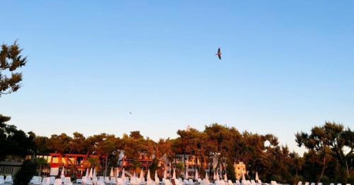 Divjaka Resort from $64. Divjakë Hotel Deals & Reviews - KAYAK