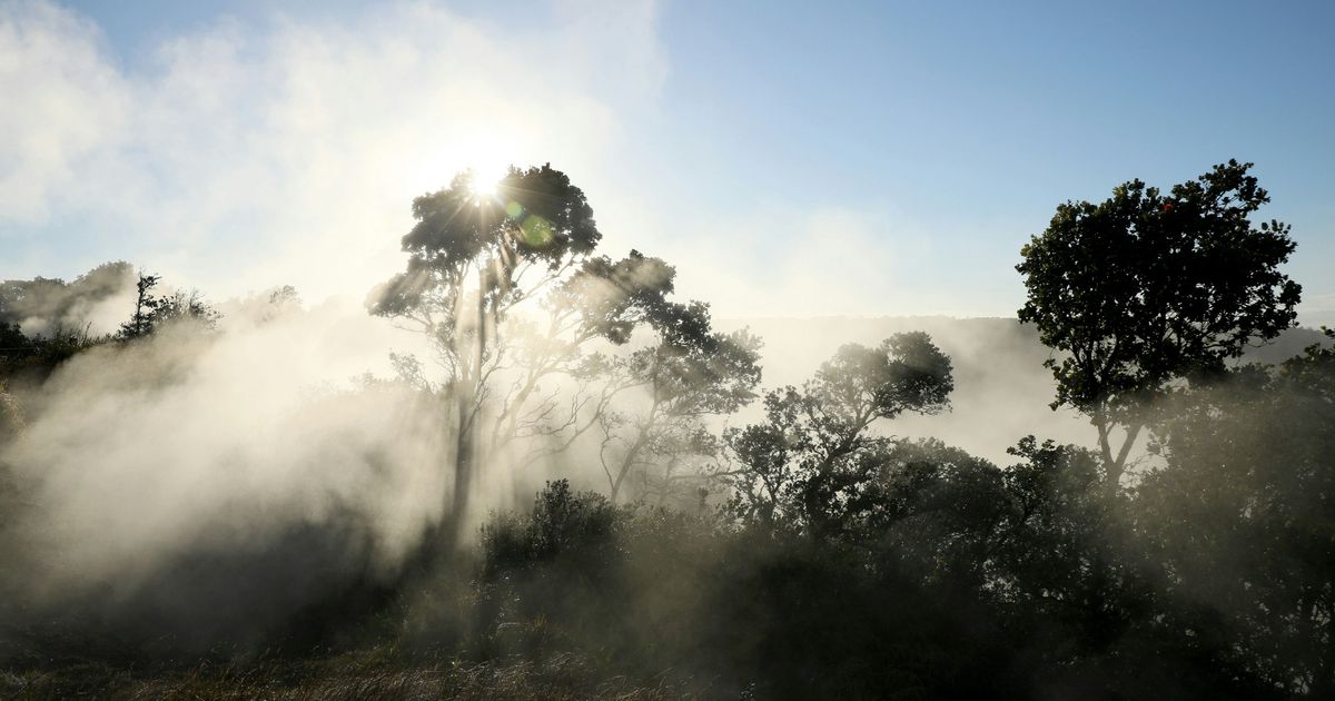 Volcano House from $259. Volcano Hotel Deals & Reviews - KAYAK