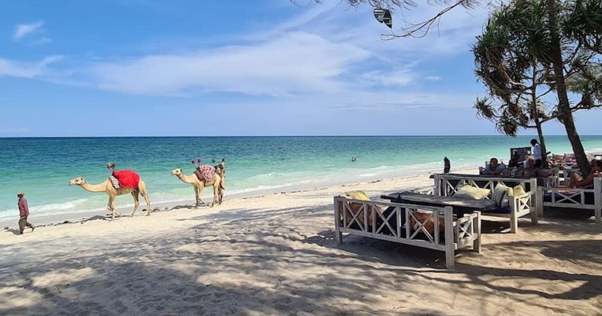 Bahari Dhow Beach Villas from $42. Diani Beach Hotel Deals & Reviews ...