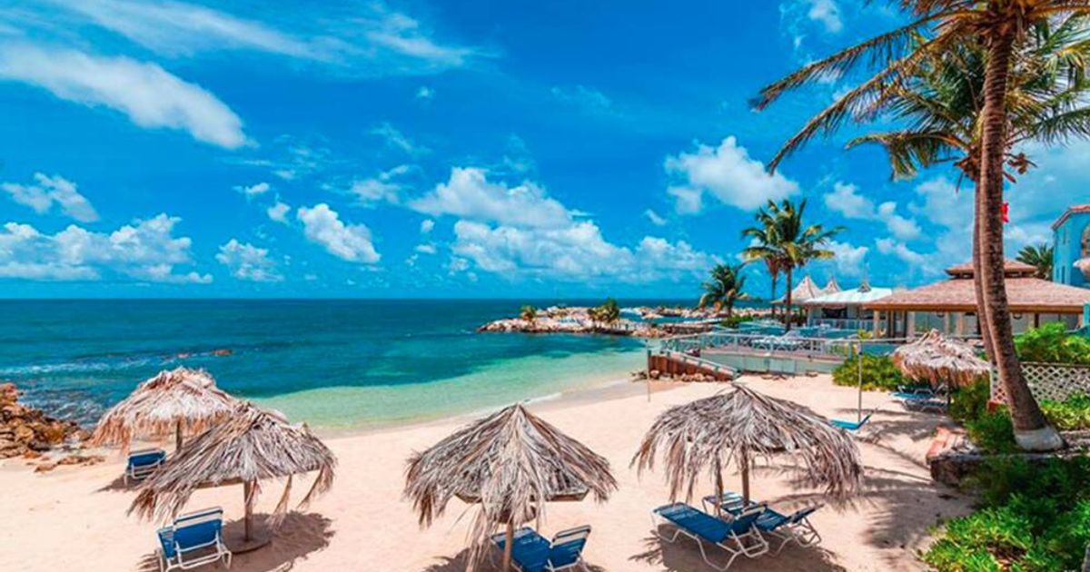 Ocean Point Beach Resort & Spa Adults Only £92. Cedar Grove Hotel Deals ...