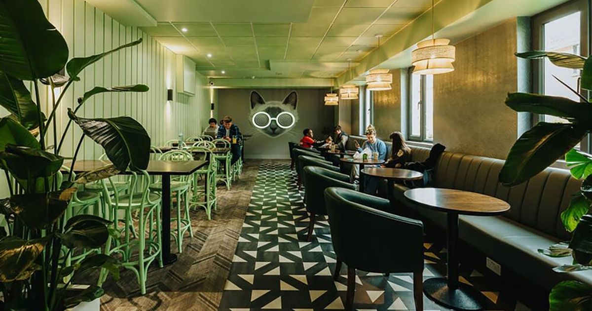 Kinlay Hostel Eyre Square ab 32 €. Hostels in Galway - KAYAK