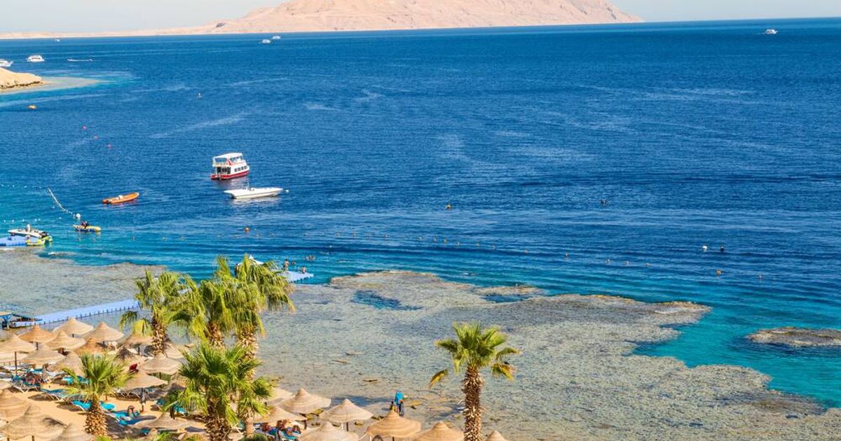 รีสอร์ต Island View เริ่มต้นที่ ฿2,303 (฿̶4̶,̶4̶4̶9̶) ชาร์ม เอล ชีค ...