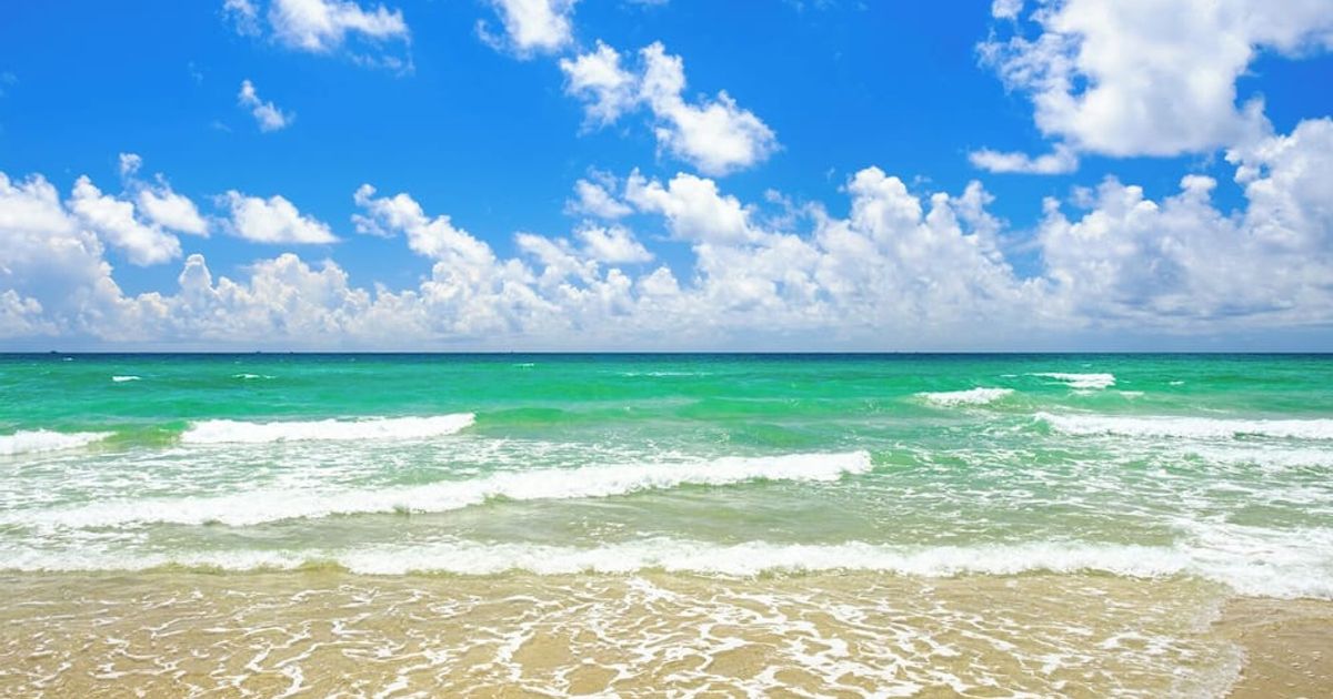 Enchanted Isle Hollywood Beach Resort from $142. Hollywood Hotel Deals ...
