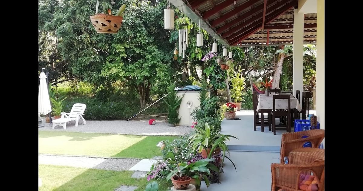 Longan Tree in Saraphi, Thailand from $44: Deals, Reviews, Photos | momondo