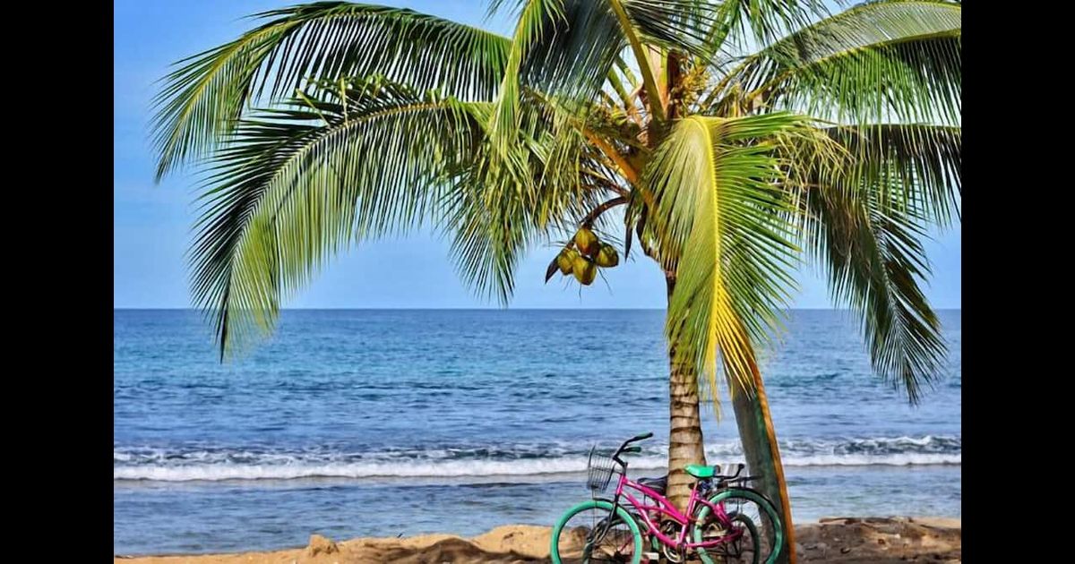 Surf Break at Paunch in Carenero, Panama from $79: Deals, Reviews ...