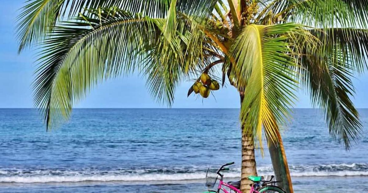 Surf Break at Paunch from $79. Carenero Hotel Deals & Reviews - KAYAK