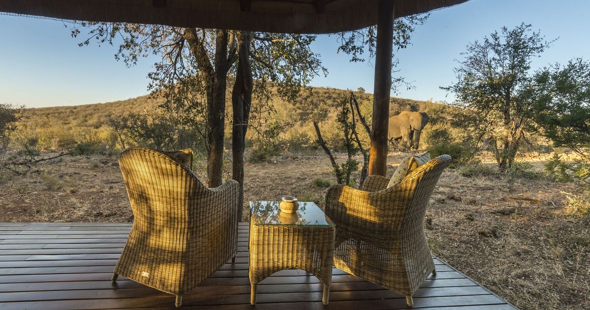 Impodimo Game Lodge from $1,086. Supingstad Hotel Deals & Reviews - KAYAK