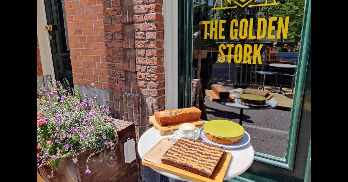 Hostel The Golden Stork à La Haye, Pays-Bas à partir de 19 € : Offres ...