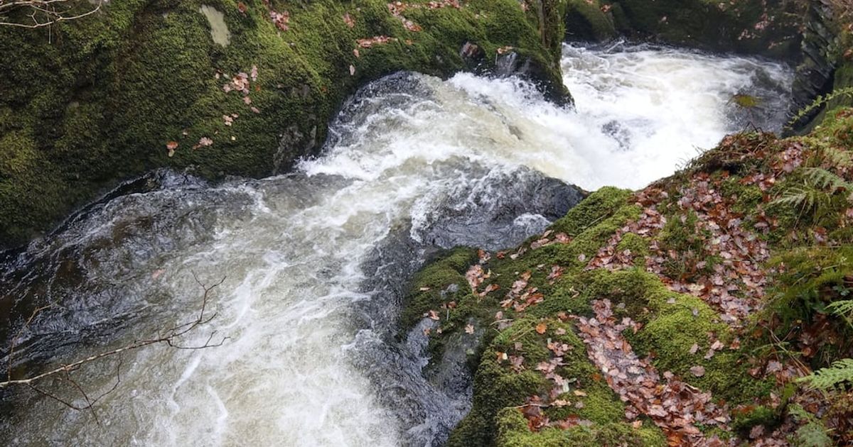 Pant Glas Barn . Llanbrynmair Hotel Deals & Reviews - KAYAK