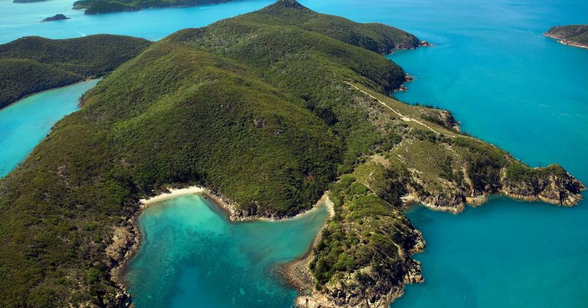 Beach Club desde 438 €. Hoteles en Hamilton Island - KAYAK