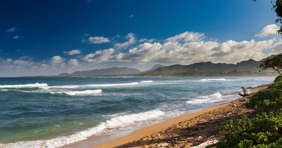 Aston Islander On The Beach from $181. Kapaa Hotel Deals & Reviews - KAYAK