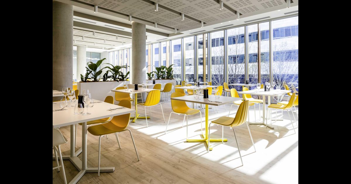 ibis Styles East Perth in Perth, Australia from $82: Deals, Reviews ...