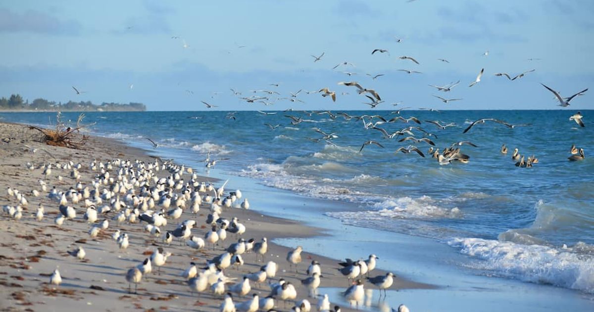 Casey Key Resorts - Beachfront from $139. Nokomis Hotel Deals & Reviews ...