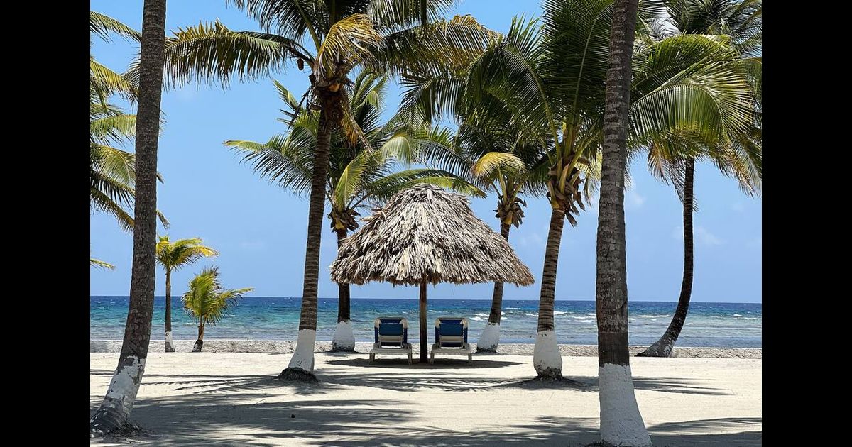 Blue Marlin Beach Resort in Hopkins, Belize from $988: Deals, Reviews ...