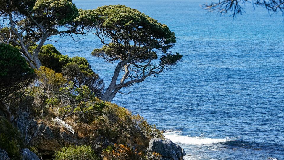 Pullman Bunker Bay Resort Margaret River Region, Naturaliste ...