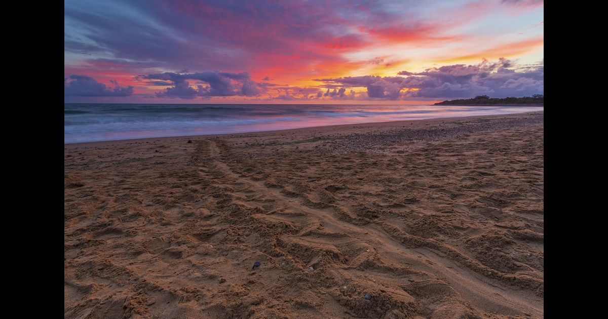 Bundaberg Park Village in Bundaberg, Australia from $84: Deals, Reviews ...
