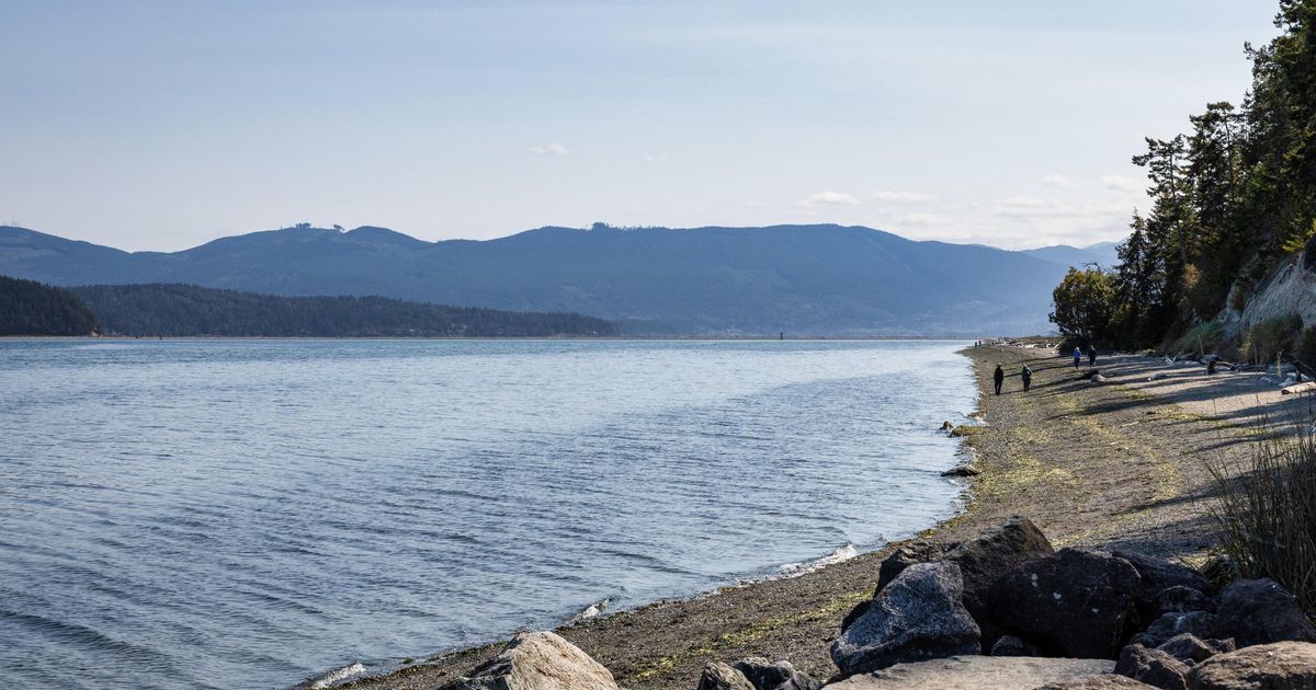 Holiday Inn Express & Suites Sequim By IHG £91. Sequim Hotel Deals ...
