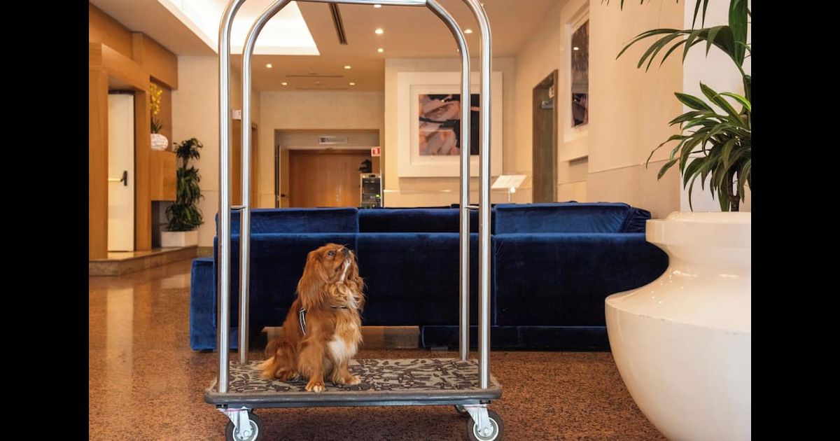 Best Western Hotel President in Rome, Italy from €86: Deals, Reviews ...