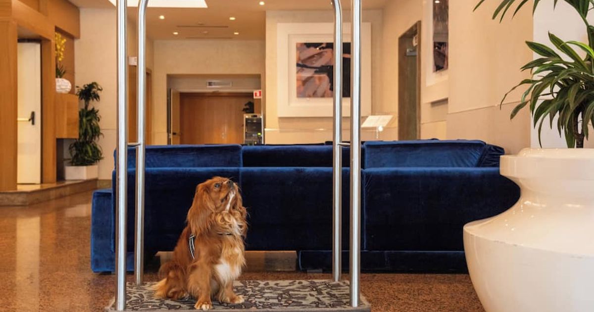 Best Western Hotel President, Rome | HotelsCombined