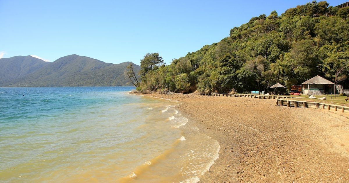Punga Cove Resort from $223. Picton Hotel Deals & Reviews - KAYAK