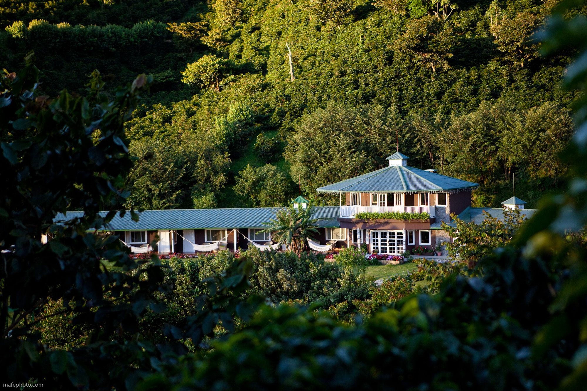 Finca Lerida Coffee Plantation & Boutique Hotel desde 111 €. Hoteles en ...