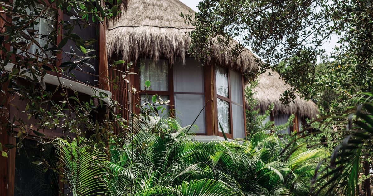 Mamasan Treehouses & Cabins £65. Tulum Hotel Deals & Reviews - KAYAK