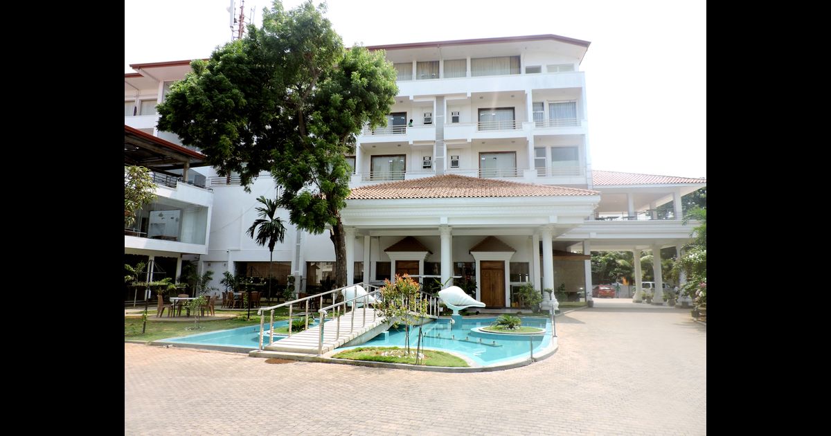 Green Grass, Jaffna - Compare Deals