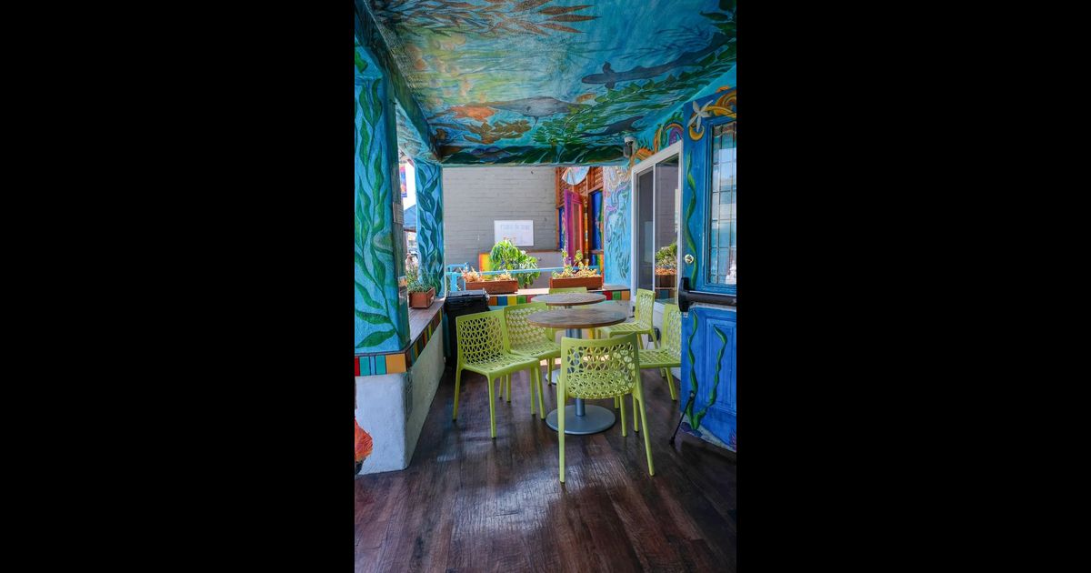 Samesun Ocean Beach in San Diego, the United States from $28: Deals ...